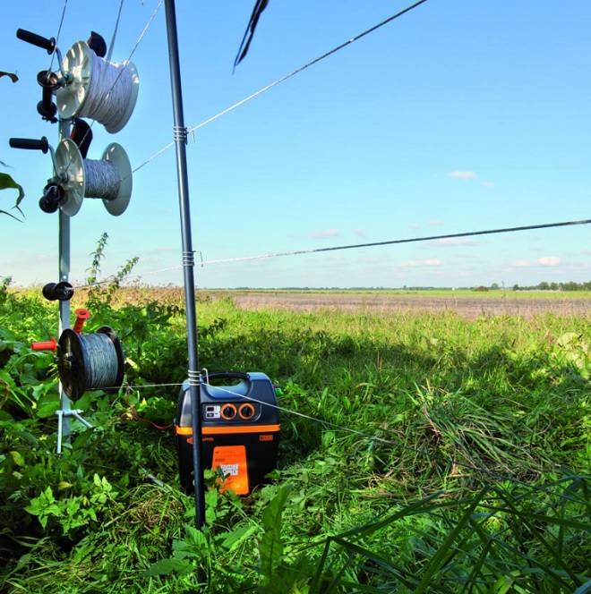 Elettrificatore a Batteria GALLAGHER B300 12V/2,6 J per Recinzioni Fino ...